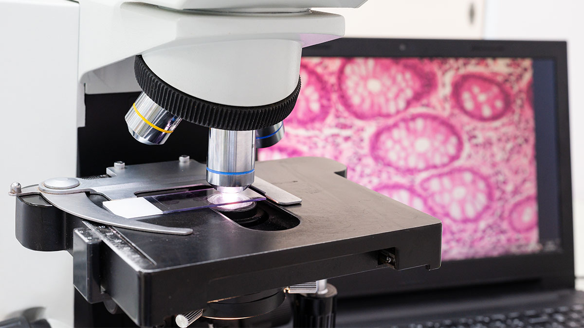 Diagnostic Equipment and Services - NHS Supply Chain